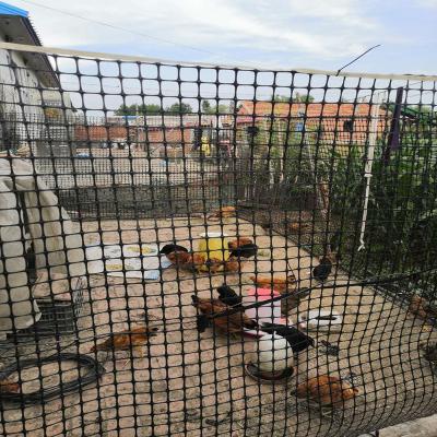 Cina Materiale di polipropilene 15kn Fence Farm Mesh Geogrid per applicazioni agricole in vendita