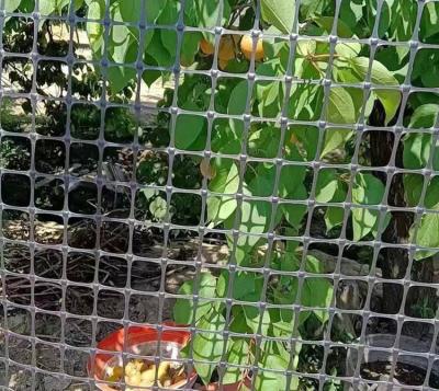 Cina Materiale di polipropilene 15kn Fence Farm Mesh Geogrid per applicazioni agricole in vendita