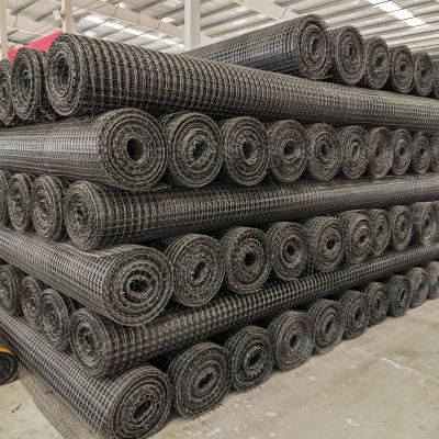 Cina Rete di plastica geogrid bidirezionale nera per la conservazione di polli e anatre in magazzino in vendita