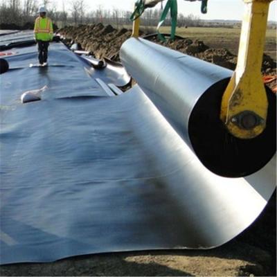 Cina Geomembrana in HDPE di larghezza personalizzata per discariche e stagni per pesci in vendita