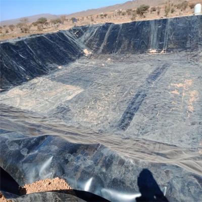 Cina Geomembrana in HDPE per rivestimenti di diga di scarico Spessore 0,2-4,0 mm Standard GB/ASTM GRI-GM13 in vendita