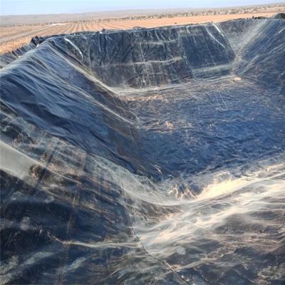 Cina Geomembrana in HDPE per rivestimenti di diga di scarico Spessore 0,2-4,0 mm Standard GB/ASTM GRI-GM13 in vendita
