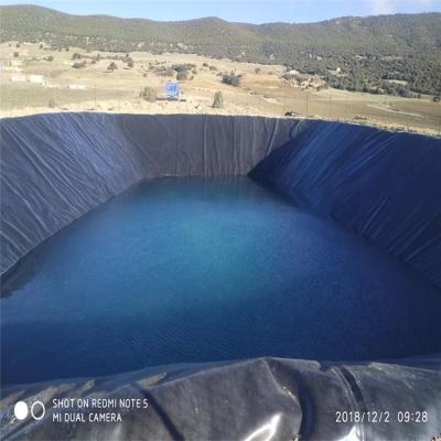 Cina Larghezza personalizzata Geomembrana anti-siccatura liscia in HDPE vergine 100% per rivestimento di stagni per pesci in vendita
