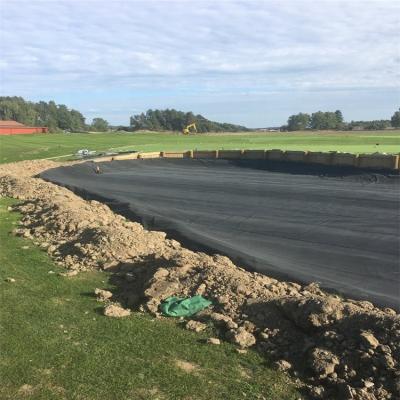 China Geo-membraan voor vispoelen met 100% maagdelijk HDPE Te koop