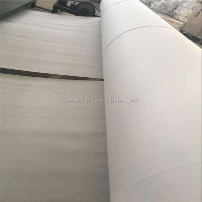 Cina 150-50kn Tessuto Geotessile Tessuto ad alta resistenza per progetti all'aperto in vendita
