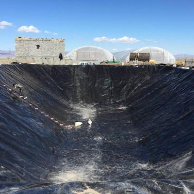 中国 現代のデザインスタイル 40ミリまたは1ミリ スムーズジオメムラン HDPE プールラインナー 現場訓練 販売のため