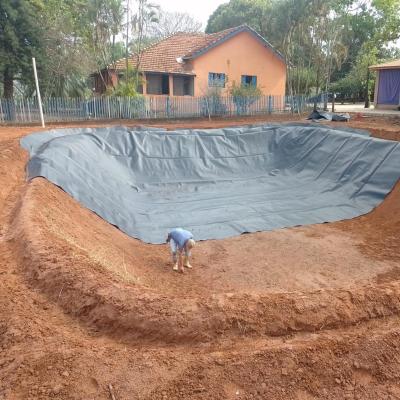 Cina 1Geomembrana in HDPE di 0,0 mm per la protezione ambientale impermeabile e impermeabile in vendita
