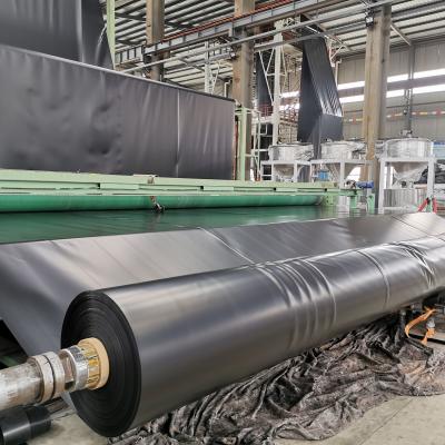 Cina Geomembrana in HDPE a doppio lato impermeabile per la protezione ambientale in vendita