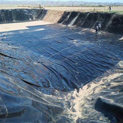 Cina Geomembrana in HDPE a doppio lato impermeabile per la protezione ambientale in vendita
