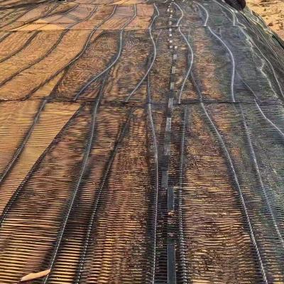 Cina 50m Lunghezza PP HDPE Geogrid uniaxiale per stile di design minimalista in materiale durevole in vendita