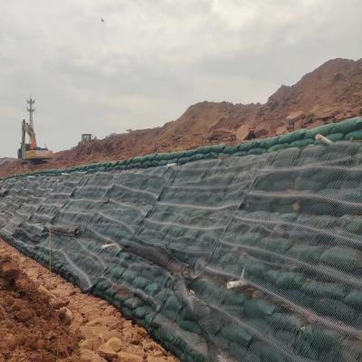 Cina 50m Lunghezza PP HDPE Geogrid uniaxiale per stile di design minimalista in materiale durevole in vendita