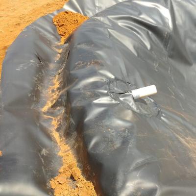 Cina Stile di design contemporaneo Geomembrana di HDPE per discariche Involucro 0,5 mm Spessore impermeabile in vendita