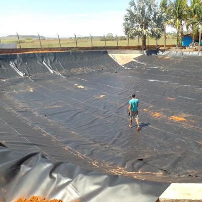 Cina 0Geomembrana in HDPE blu da 75 mm per stagni di gamberetti e allevamenti di pesci a costi accessibili in vendita