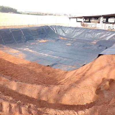 Cina Shandong HDPE Geomembrane 0,5 mm per stagno Liner allevamenti ittici Pound Pool discarica in vendita