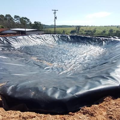 Cina Fabbrica Contemporanea 0.5mm HDPE Geomembrane Liner Sheet per Pesci allevamento stagno Liner in vendita