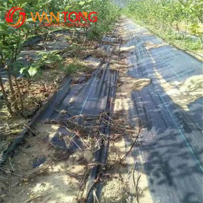 China 40gm-230gm Agricultura Tecido de cobertura de solo de PP para controle de ervas daninhas no jardim de morangos à venda