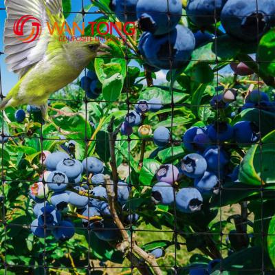 Cina PP o HDPE reti per orti per orti reti di protezione degli uccelli con certificato CE ISO in vendita