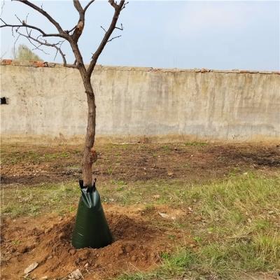 Cina Sacchetto d'irrigazione a rilascio lento verde scuro per alberi 250-3500 grammi in vendita