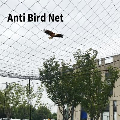 Cina CE ISO Certificato BOP Stretched PP Net Long Life Durable Anti Bird Netting Plastic Mesh per la sicurezza del giardino in vendita