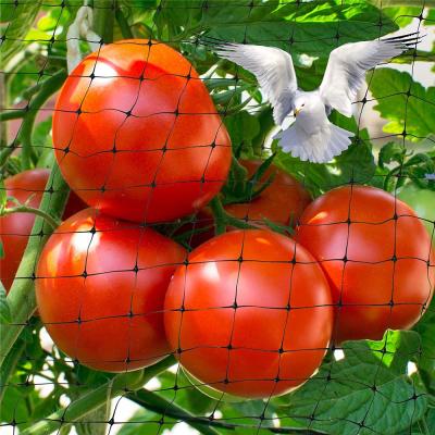 Cina Proteggete il vostro giardino con reti di plastica da taglio Agricoltura Rete anti uccelli UV 25g/m2 in vendita