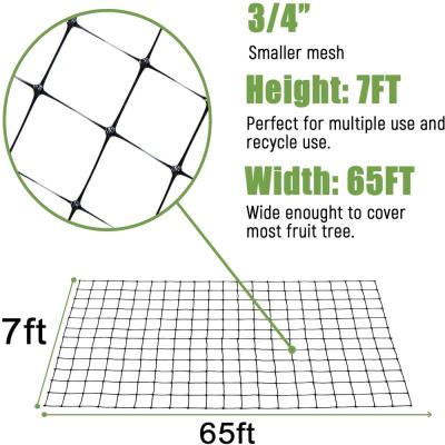 Cina 8-100GSM Netting antiuccello in plastica nera PP per recinzioni di allevamenti di polli e reti per cervi in vendita