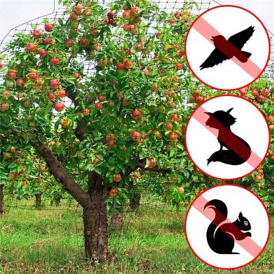 China UV-bestendige witte zwarte groene PP-plastic mesh voor het bestrijden van vogelnetten en konijnenherten Te koop