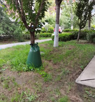 Cina Sacchetti per piantare alberi da 15-20 galloni con tessuto in PVC e funzione di irrigazione a rilascio lento in vendita
