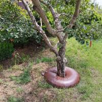 China High Surface Hardness Tree Watering Bag for Automatic and Adjustable Drip Irrigation for sale