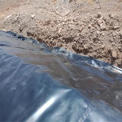 China Chinese Design Style Water Pond Plastic Polyethylene Geomembrane Liner for Fish Pond for sale