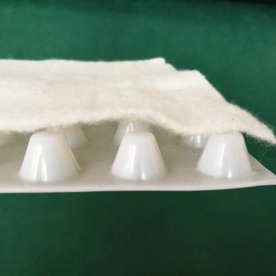 Cina Tavola di drenaggio alberghiera con geotessile HDPE composito a fossette certificato CE/ISO/ISO14001 in vendita