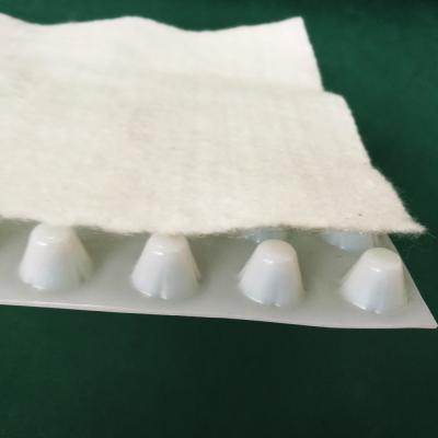 Cina Tavola di drenaggio alberghiera con geotessile HDPE composito a fossette certificato CE/ISO/ISO14001 in vendita