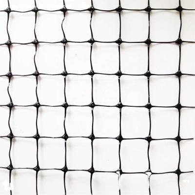 Cina 1.5cm Mesh 27gsm PP Anti Bird Net per l'uva o alberi da frutto lunghezza personalizzata in vendita