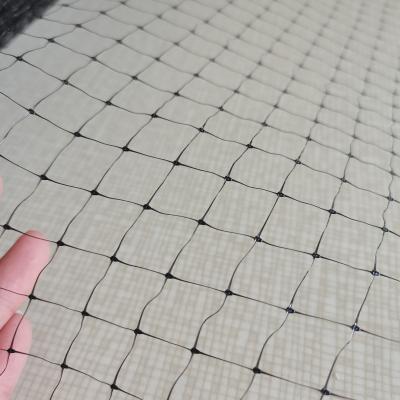 Cina 1.5cm Mesh 27gsm PP Anti Bird Net per l'uva o alberi da frutto lunghezza personalizzata in vendita