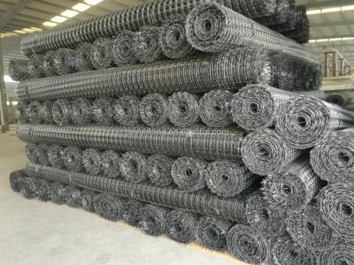 Cina Geogrid di plastica da 1-6 m di larghezza per la stabilizzazione del suolo ad alta resistenza del vialetto biassiale in vendita