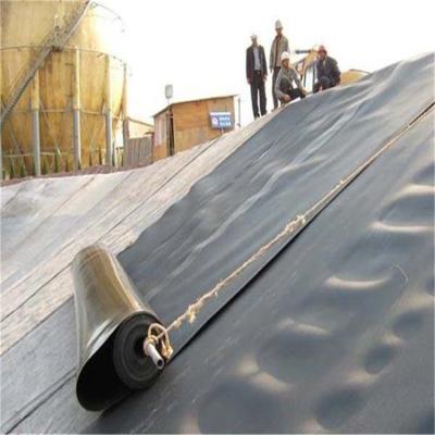 Cina 1mm Geomembrane Liner personalizzato per Biodigester di discarica e stagno di pesci o gamberetti in vendita