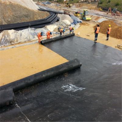 China 2 mm dik zwart HDPE geomembraan van kunststof voor vishouderij dam water tank vijver Liner verkoop Te koop