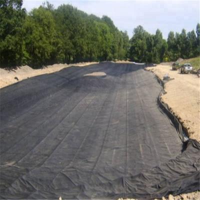 China 2 mm dik zwart HDPE geomembraan van kunststof voor vishouderij dam water tank vijver Liner verkoop Te koop