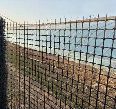 Cina 40-40kn PP Biassiale Geogrid di plastica per la costruzione stradale e il rinforzo delle fondamenta in vendita