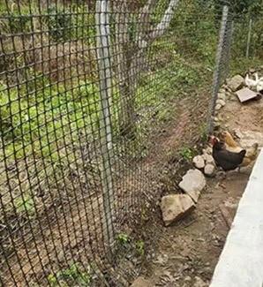 Cina 40-40kn PP Biassiale Geogrid di plastica per la costruzione stradale e il rinforzo delle fondamenta in vendita