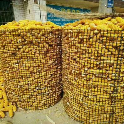 Cina Stabilizzazione stradale PP Griglia biassiale con resistenza alla trazione di 20kn e lunghezza di 50-100m in vendita