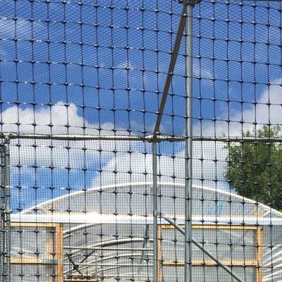 Cina PP Biassiale Geogrid 40kn per il rinforzo stradale Elite vendita nera di formazione stradale Geo Grids in vendita