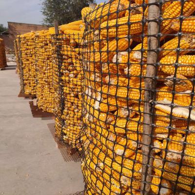 Cina PP Biassiale Geogrid 40kn per il rinforzo stradale Elite vendita nera di formazione stradale Geo Grids in vendita