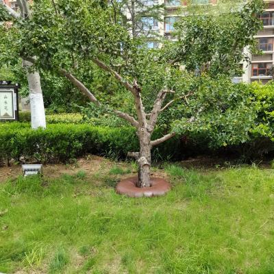 Cina 15 galloni di PVC bag per l'irrigazione degli alberi portatile e durevole per l'irrigazione a goccia a rilascio lento in vendita