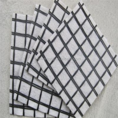 Cina PP Geogrid composito di plastica per animali domestici Geotessili non tessuti per il rinforzo di ponti e gallerie in vendita