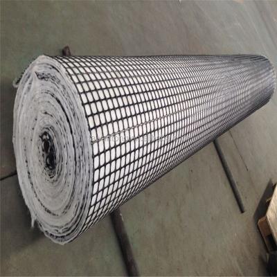 Cina PP Geogrid composito di plastica per animali domestici Geotessili non tessuti per il rinforzo di ponti e gallerie in vendita