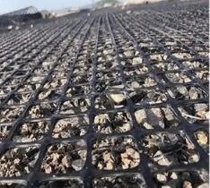 Cina 25.4*25.4mm Maglia di rete Alta resistenza Biassiale PP Geogrid di plastica per rinforzo del suolo Buona vendita in vendita