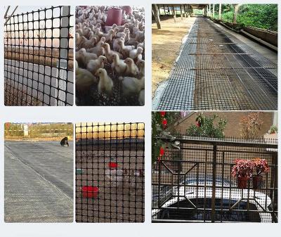 Cina Costrutturazione stradale Essential 50kn/M PP Biassiale Geogrid con certificazione CE/ISO9001 in vendita