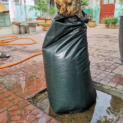 中国 他の灌?? 3パック PE 木の灌?? バッグ 75L UVグリーンバッグ 販売のため