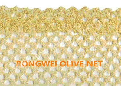 Cina Reticolato rotondo della maglia del foro di colore beige per la raccolta verde oliva, rete del raccolto di agricoltura in vendita
