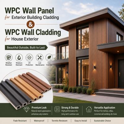 China Waterproof Anti Termite WPC Wall Panels and Exterior Cladding 180x24mm for Privacy Screens for sale